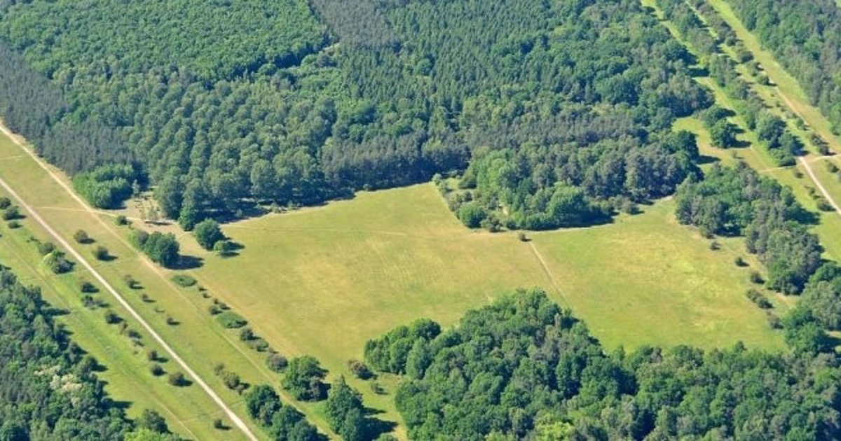 Neuenhagener Crosslauf 2026 | Gemeinde Neuenhagen bei Berlin